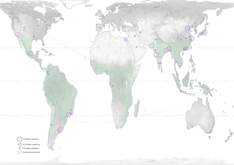 World Bamboo Congress / 2015-ENG – bambusa espinosa